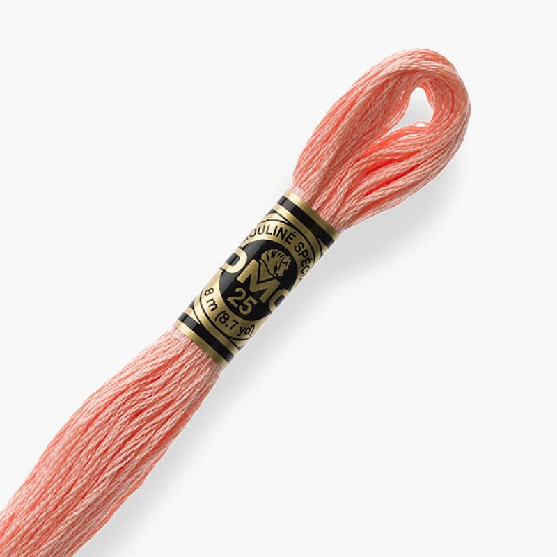 Tons de Rosa DMC Rosa 3824